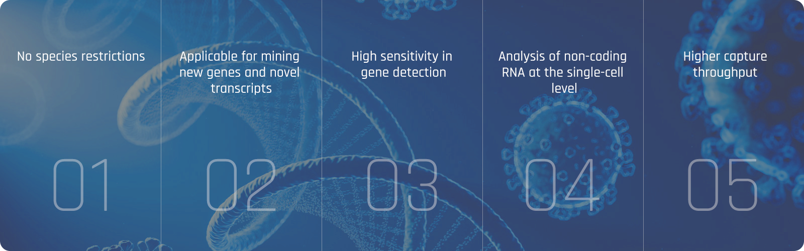 High Throughput Prokaryotic Single Cell Transcriptome Kit Bacterium