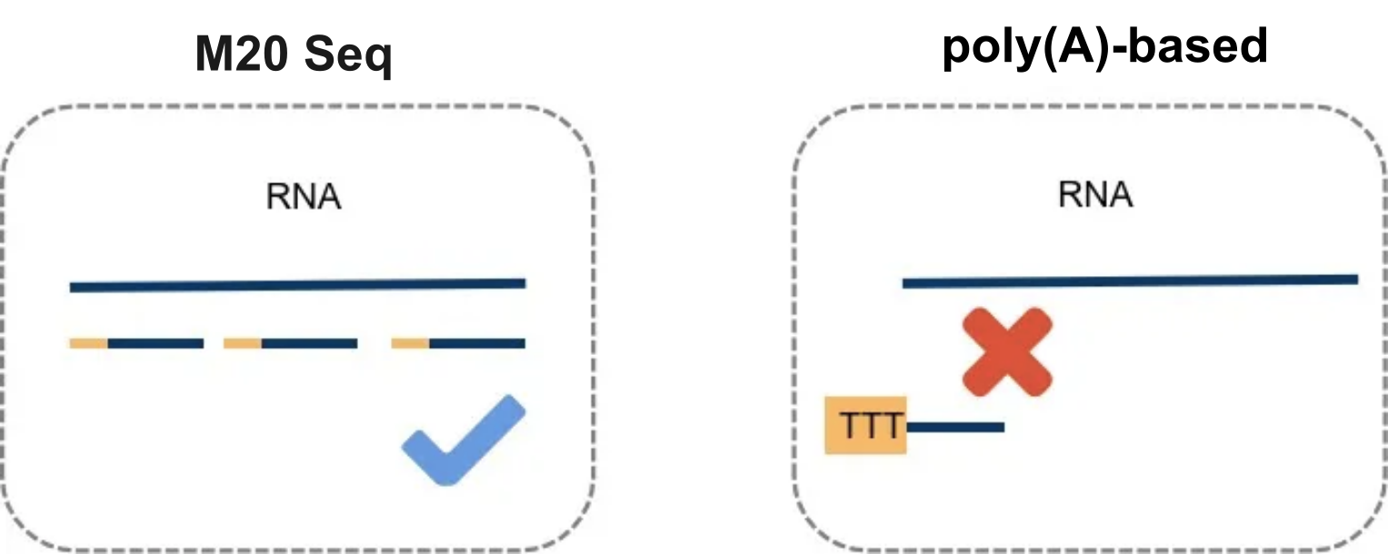 VITA Product Details and Performance - M20 Genomics