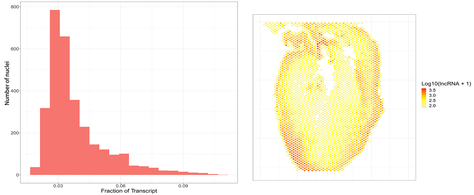 Redefining Spatial Transcriptomics: M20 Spatial - M20 Genomics
