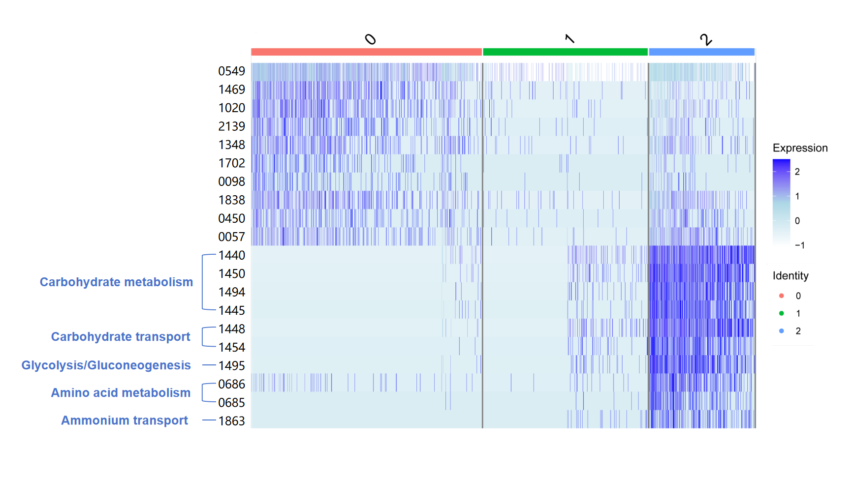 VITA GutMicrobiome: Revolutionizing Gut Microbiome Research with High-Throughput Single ...