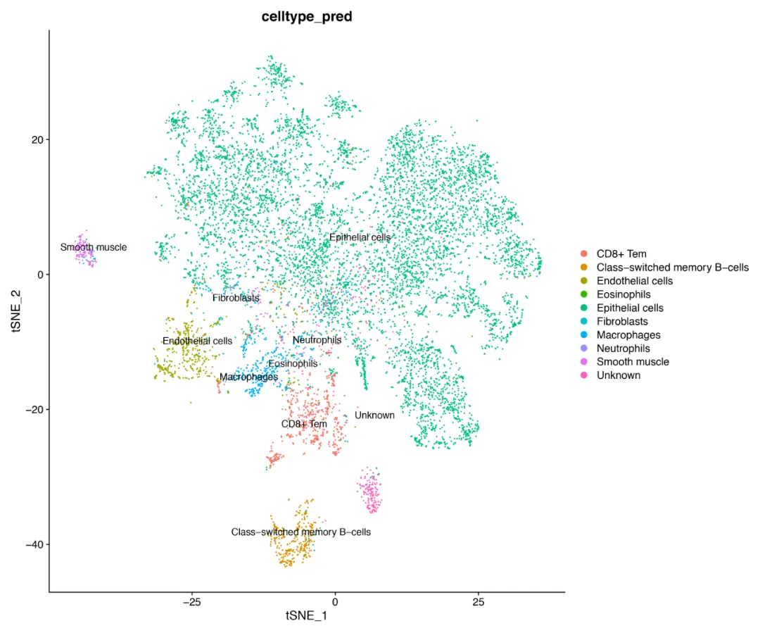 Single-Cell Transcriptome Analysis on FFPE Samples: A Comparative Study with M20 VITA - M20 Genomics