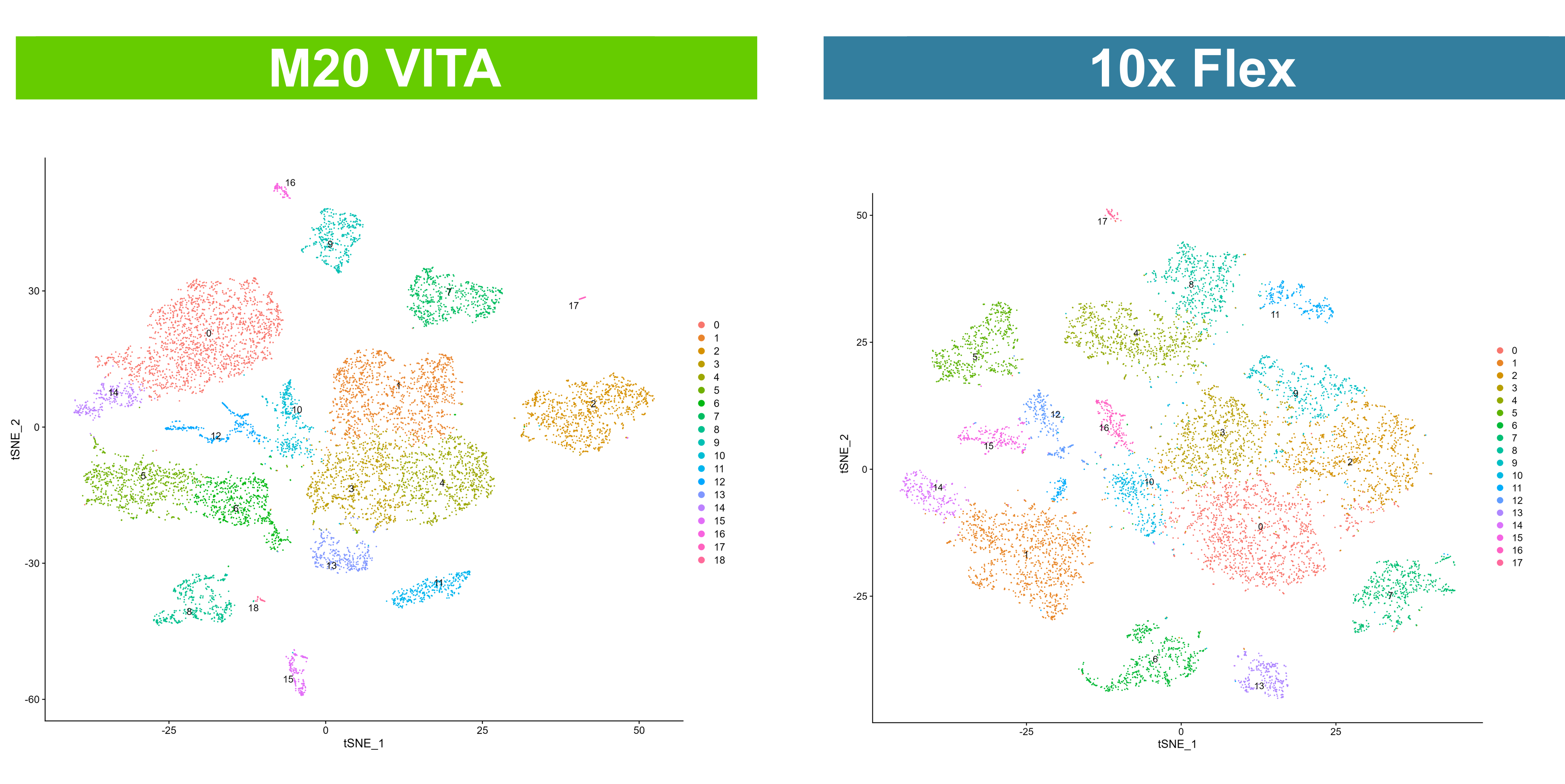 Single-Cell Transcriptome Analysis on FFPE Samples: A Comparative Study with M20 VITA - M20 Genomics