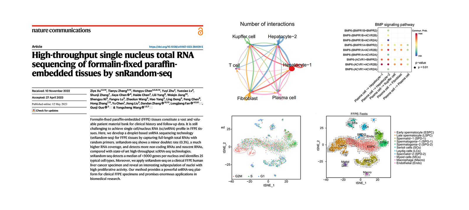 Single-Cell Transcriptome for FFPE Samples - M20 Genomics