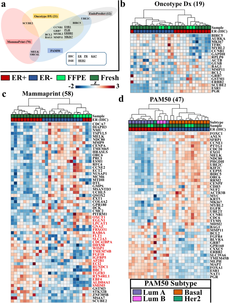 Unveiling Cellular Mysteries: The Power of Single-Cell Sequencing with FFPE Samples - M20 Genomics
