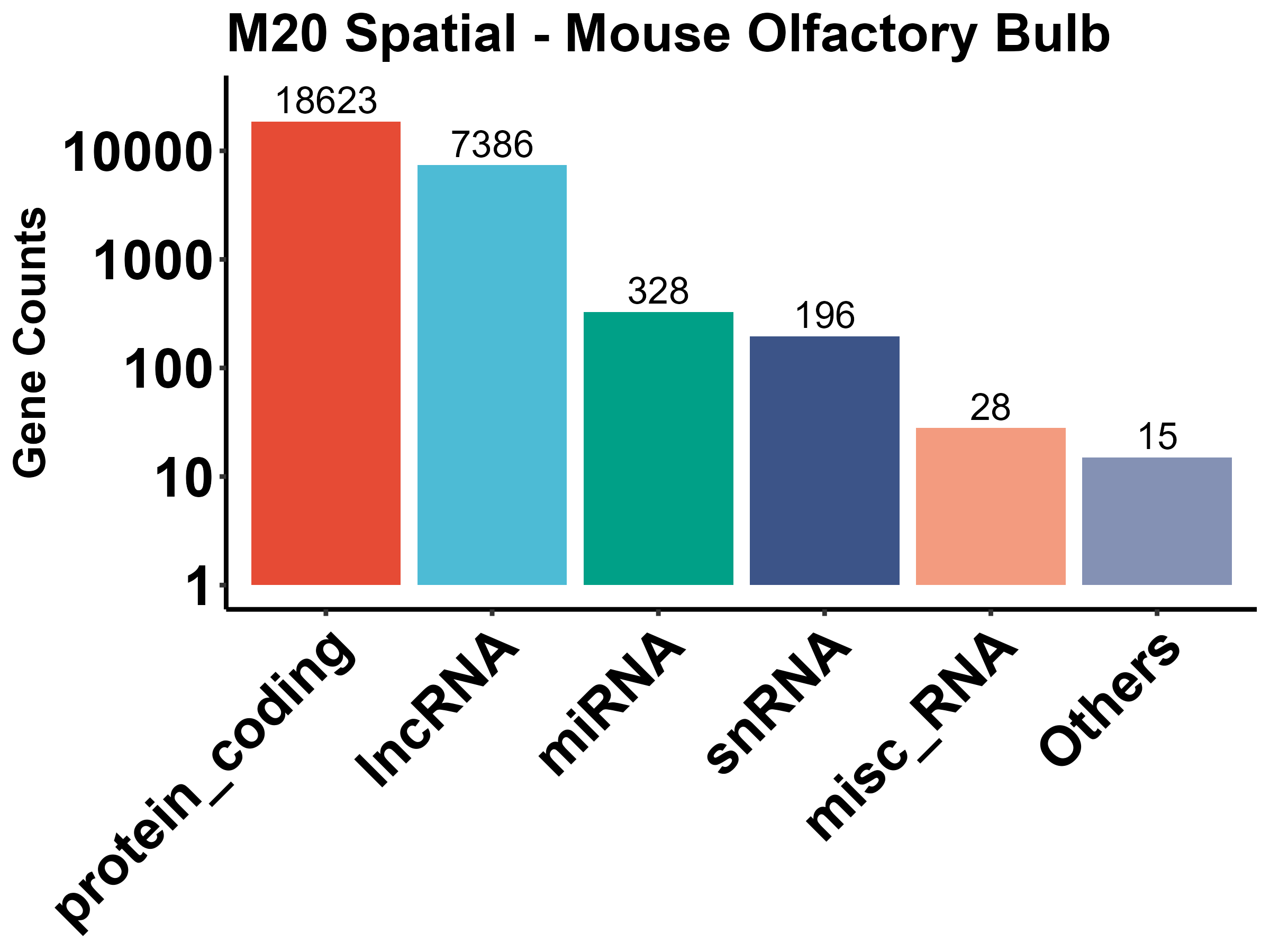 Groundbreaking Upgrade: M20 Spatial Redefines Full-Sample Spatial Transcriptomics - M20 Genomics