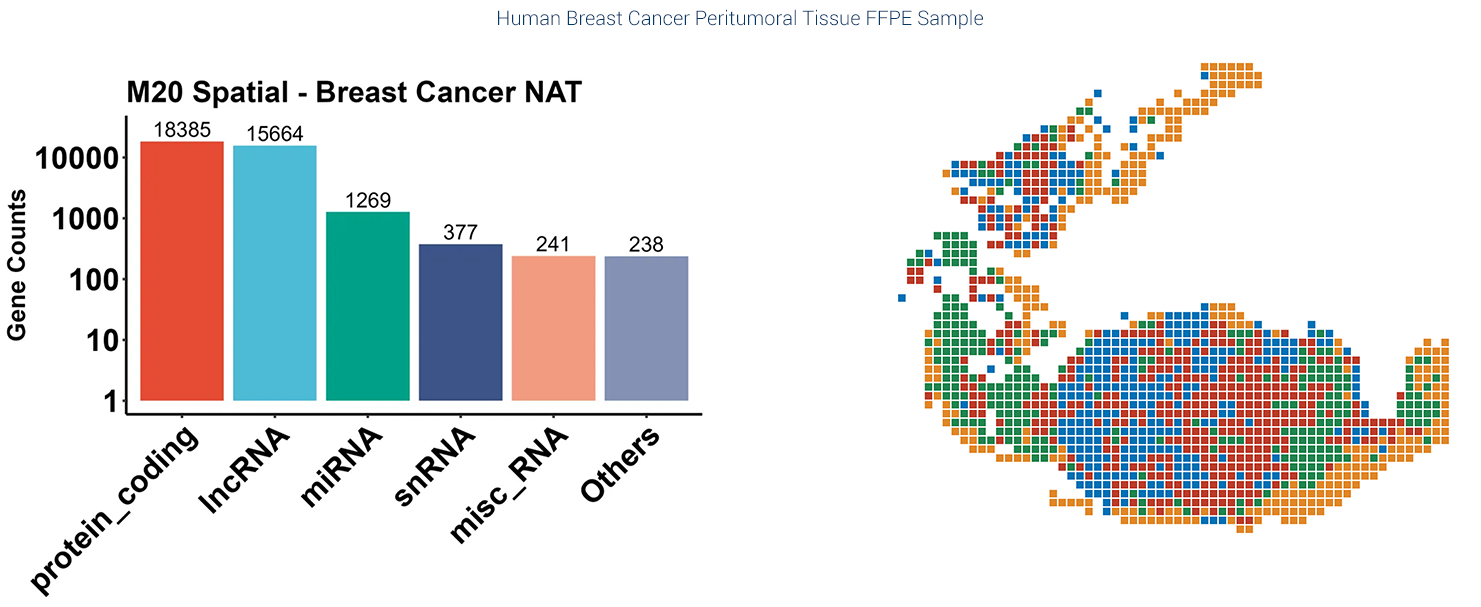 M20 Spatial - M20 Genomics