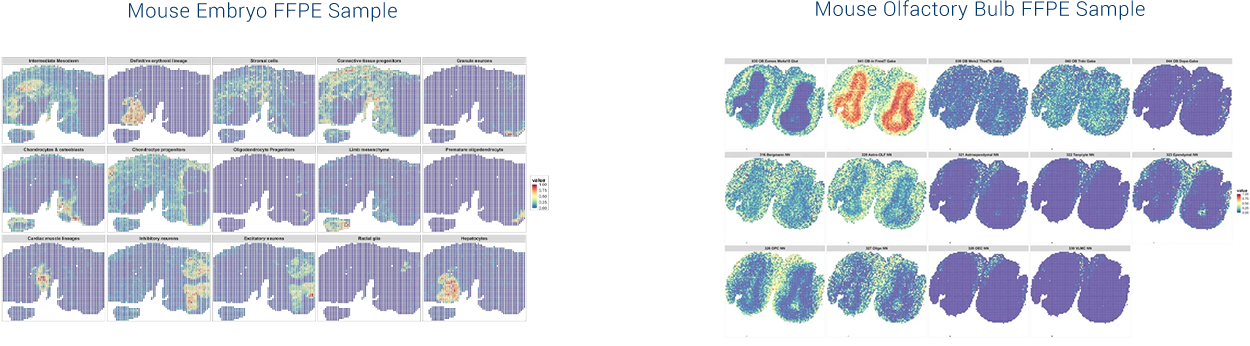 M20 Spatial - M20 Genomics