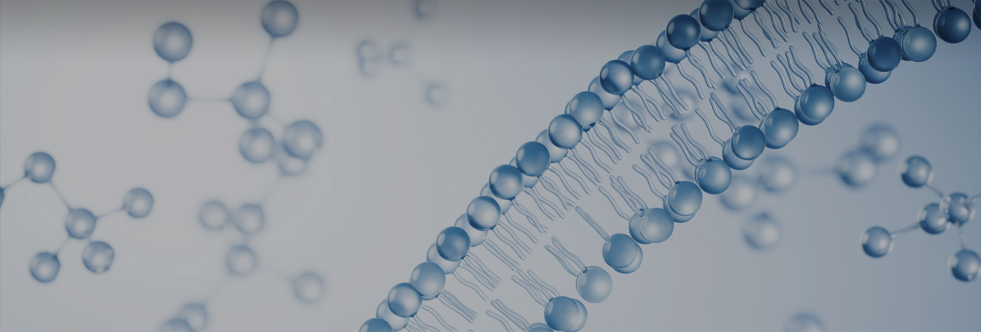 Groundbreaking Upgrade: M20 Spatial Redefines Full-Sample Spatial Transcriptomics - M20 Genomics