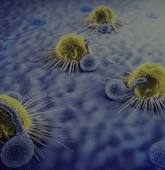 AREA OF INTEREST - M20 Genomics