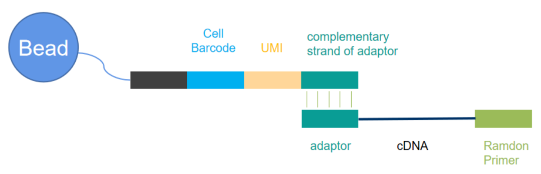 VITA Product Details and Performance - M20 Genomics