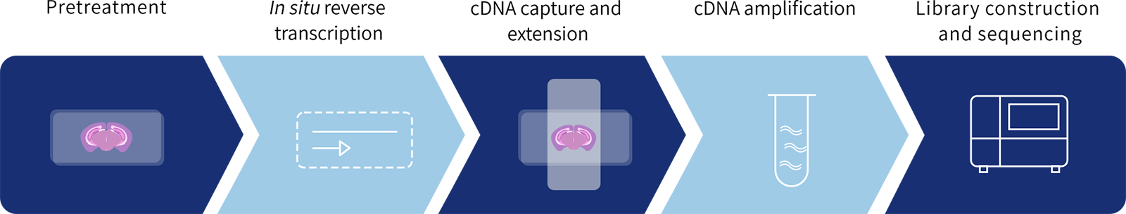 M20 Spatial - M20 Genomics