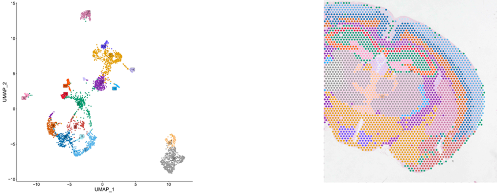 M20 Spatial - M20 Genomics