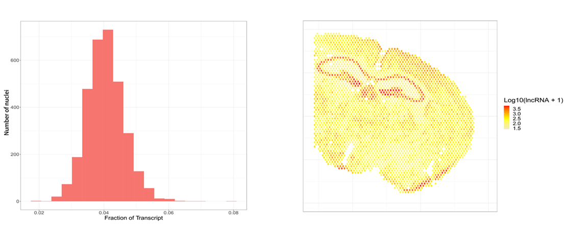 M20 Spatial - M20 Genomics