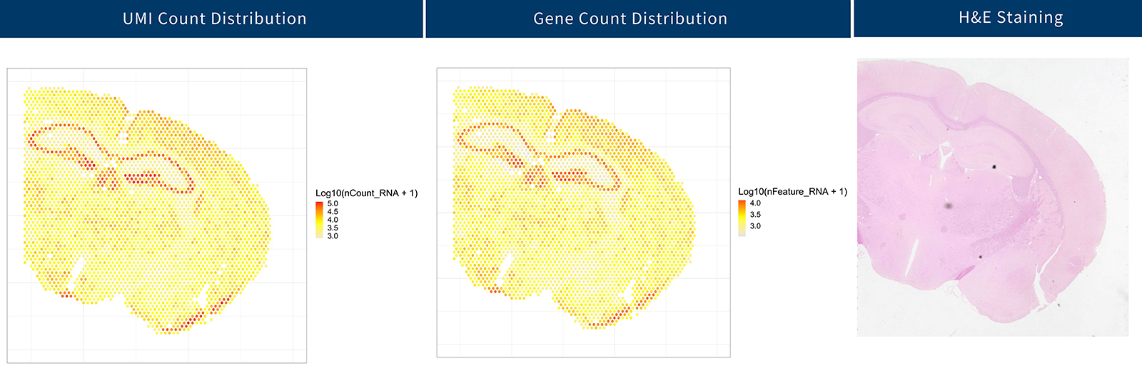 Redefining Spatial Transcriptomics: M20 Spatial - M20 Genomics