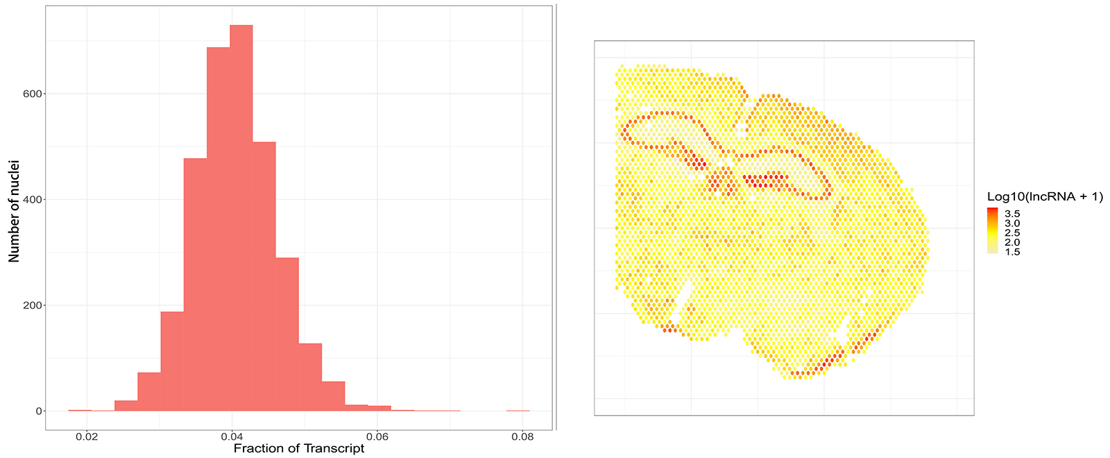 Redefining Spatial Transcriptomics: M20 Spatial - M20 Genomics