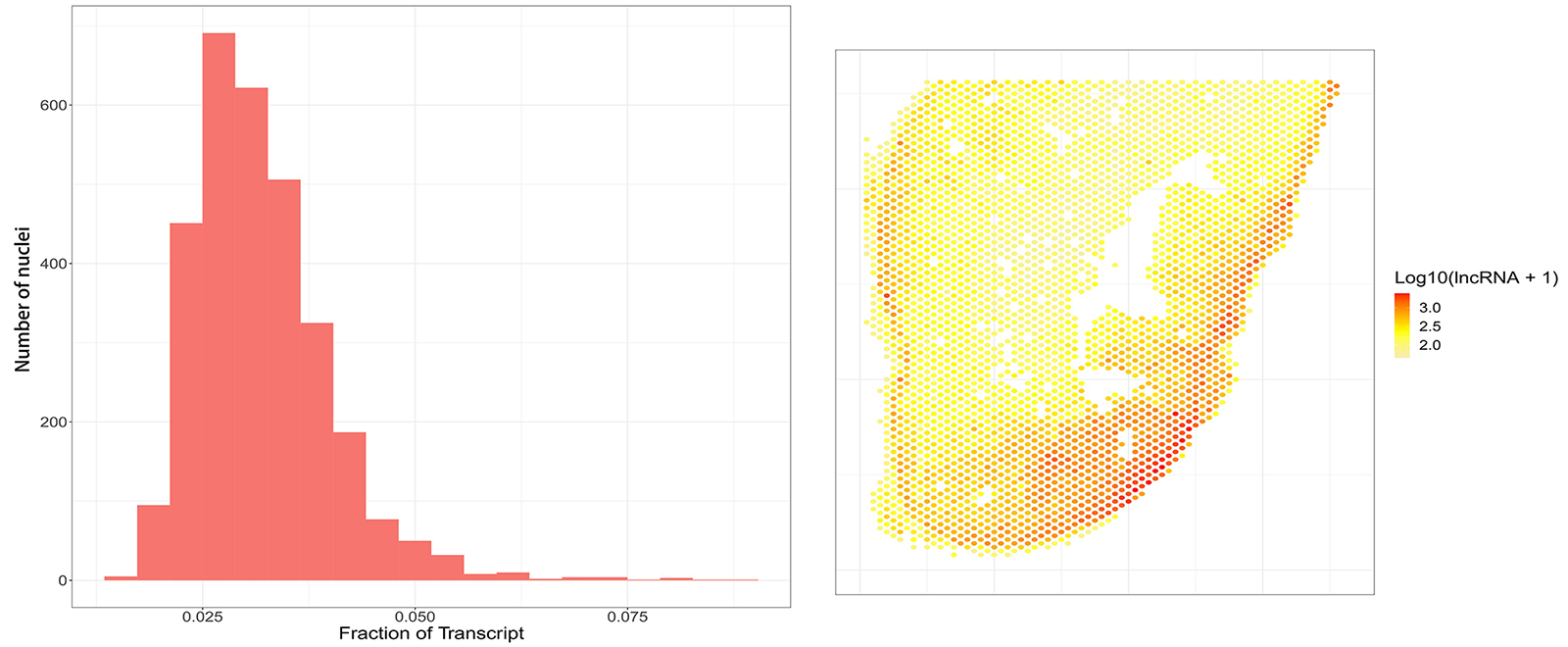 Redefining Spatial Transcriptomics: M20 Spatial - M20 Genomics