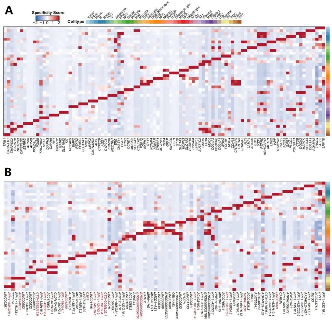VITA CytBase: Elevating Precision of Cell-Type Annotation in Single ...