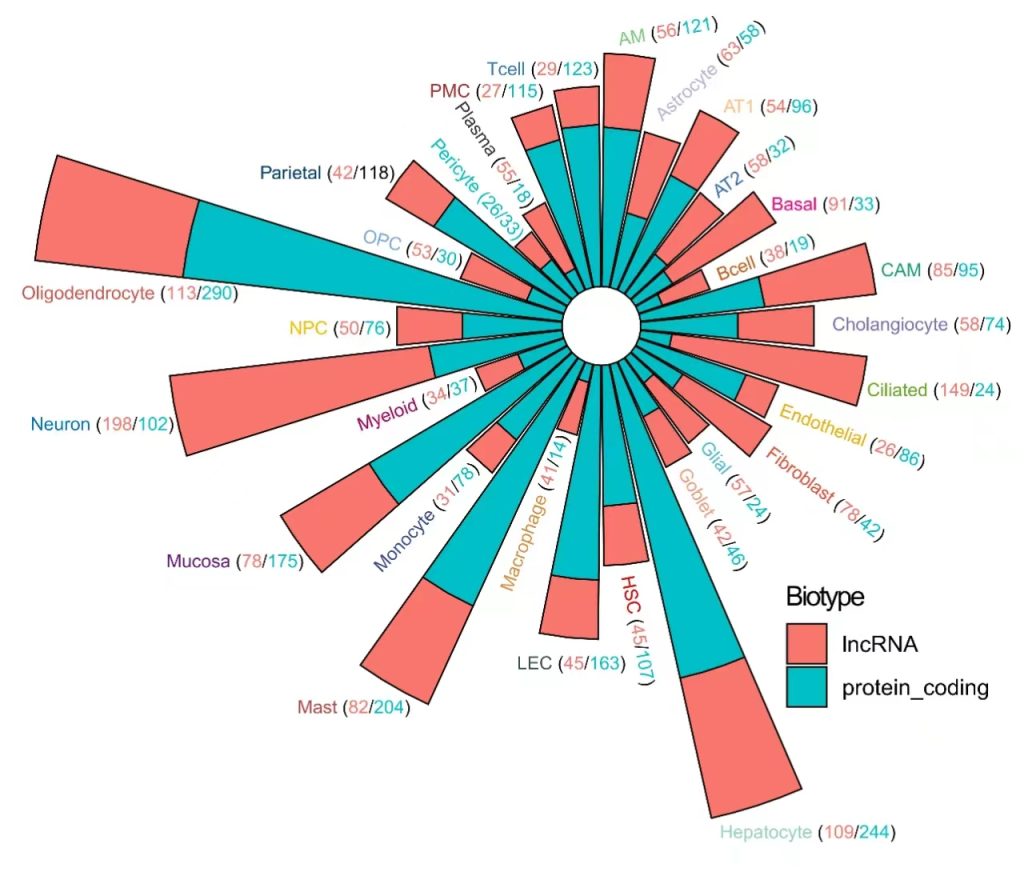 VITA CytBase: Elevating Precision of Cell-Type Annotation in Single ...