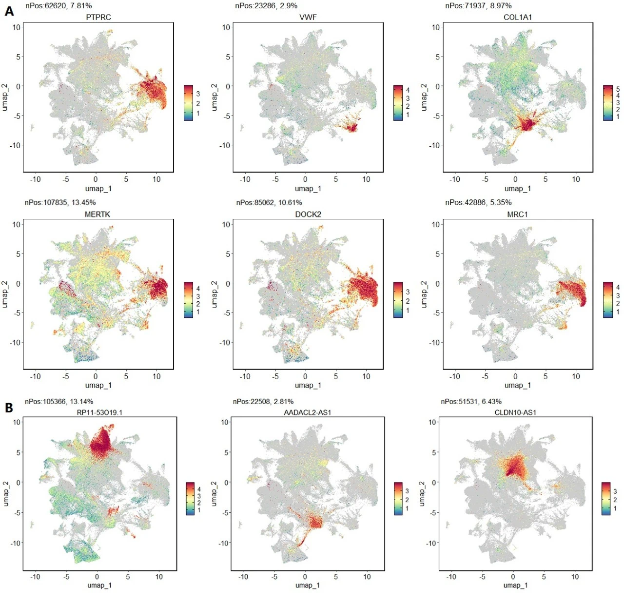VITA CytBase: Elevating Precision of Cell-Type Annotation in Single ...