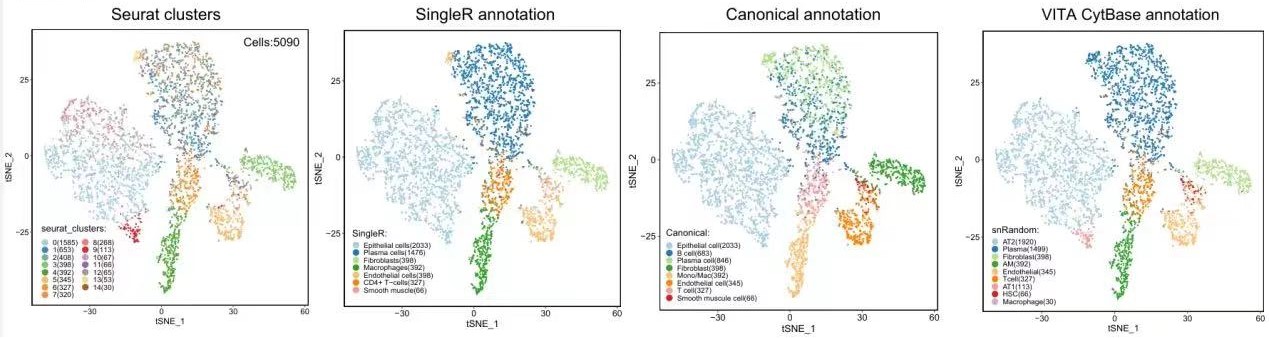 VITA CytBase: Elevating Precision of Cell-Type Annotation in Single ...