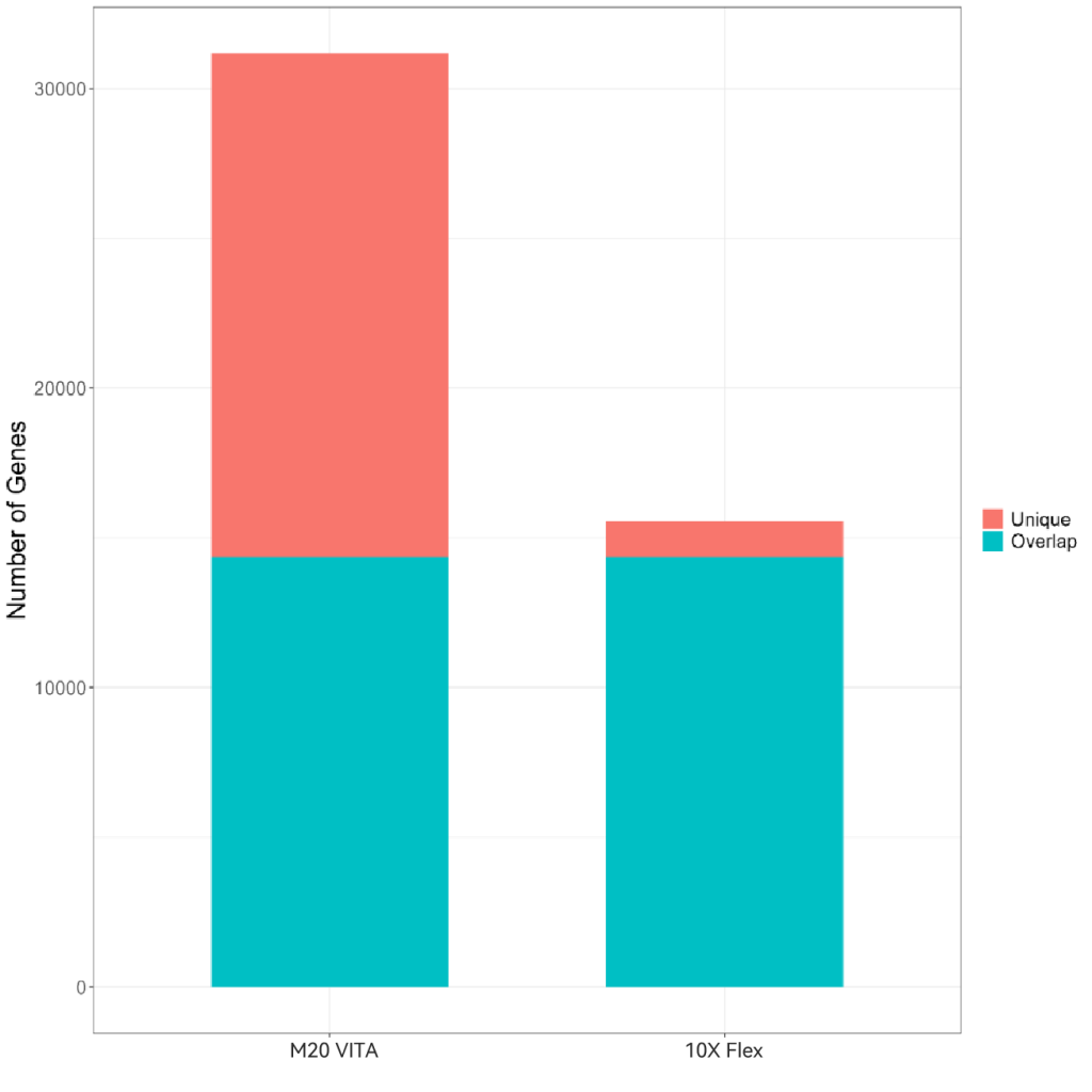 Single-Cell Transcriptome Analysis on FFPE Samples: A Comparative Study with M20 VITA - M20 Genomics