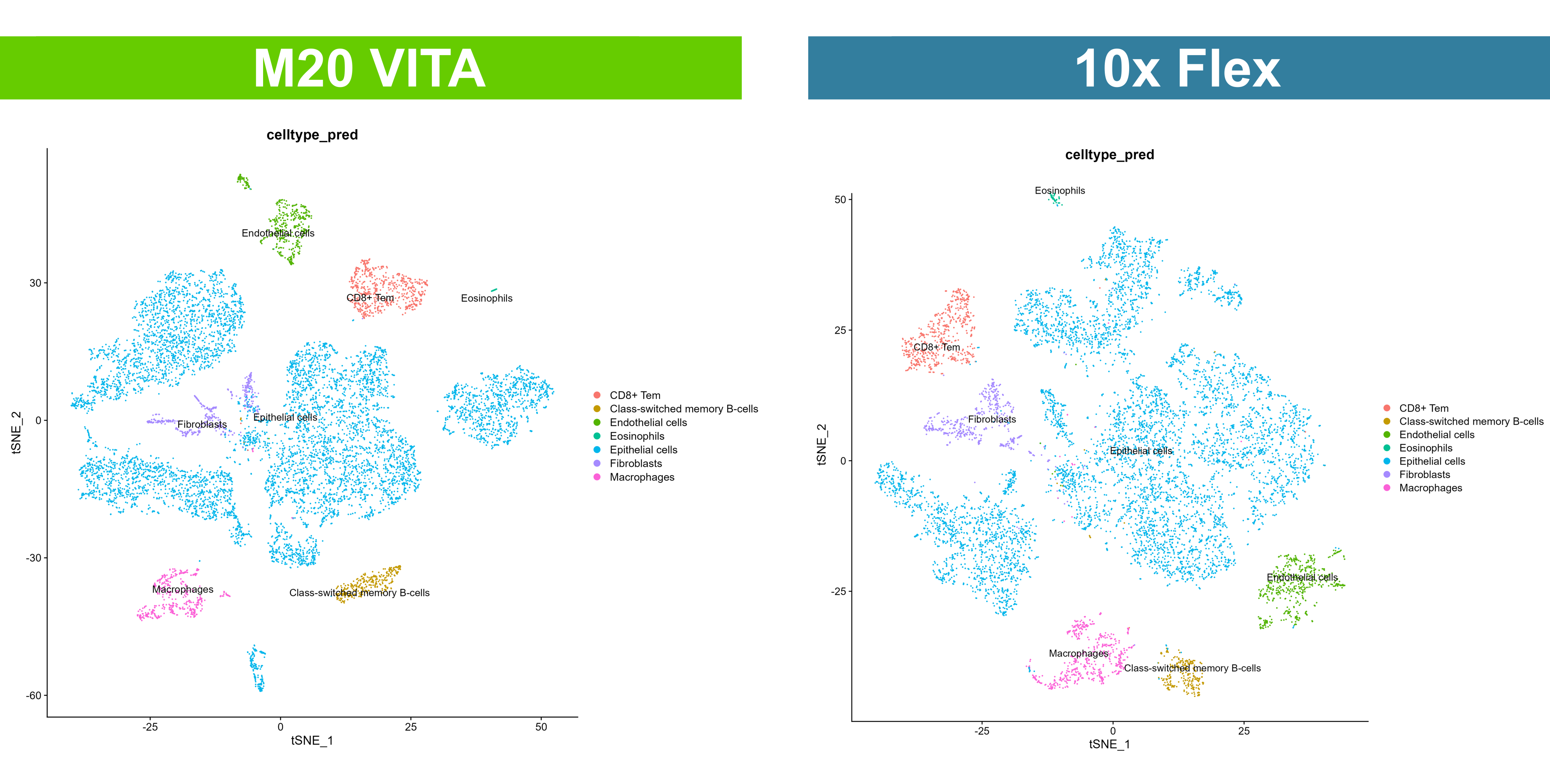 Single-Cell Transcriptome Analysis on FFPE Samples: A Comparative Study with M20 VITA - M20 Genomics