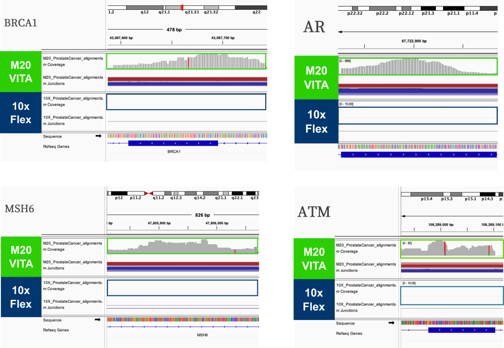 Single-Cell Transcriptome Analysis on FFPE Samples: A Comparative Study with M20 VITA - M20 Genomics