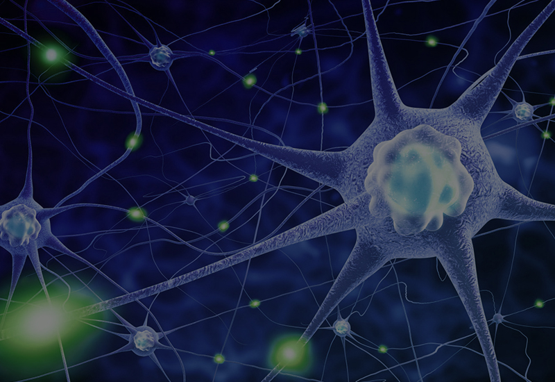 Single-Cell Transcriptome for FFPE Samples - M20 Genomics