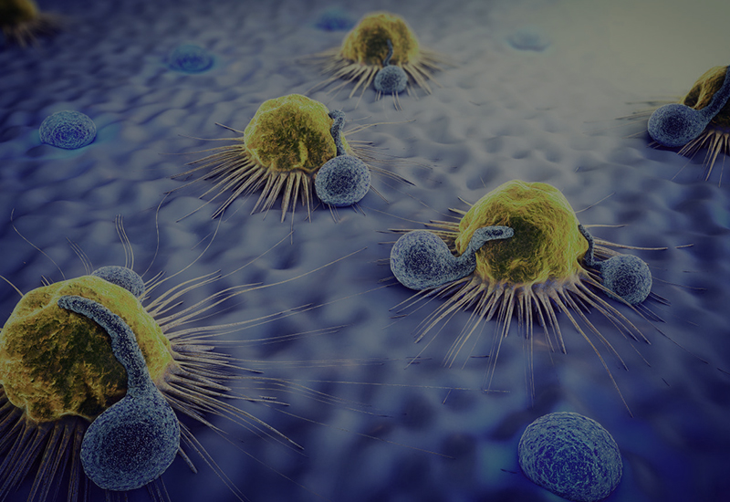 Single-Cell Transcriptome for FFPE Samples - M20 Genomics