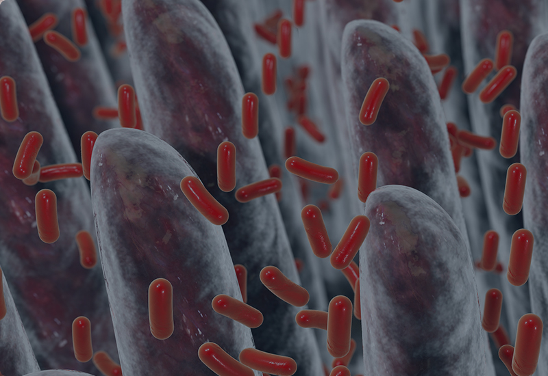 Single-Cell Transcriptome for Gut Microbiota Samples - M20 Genomics