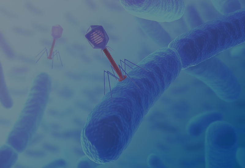 Single-Cell Transcriptome for Gut Microbiota Samples - M20 Genomics