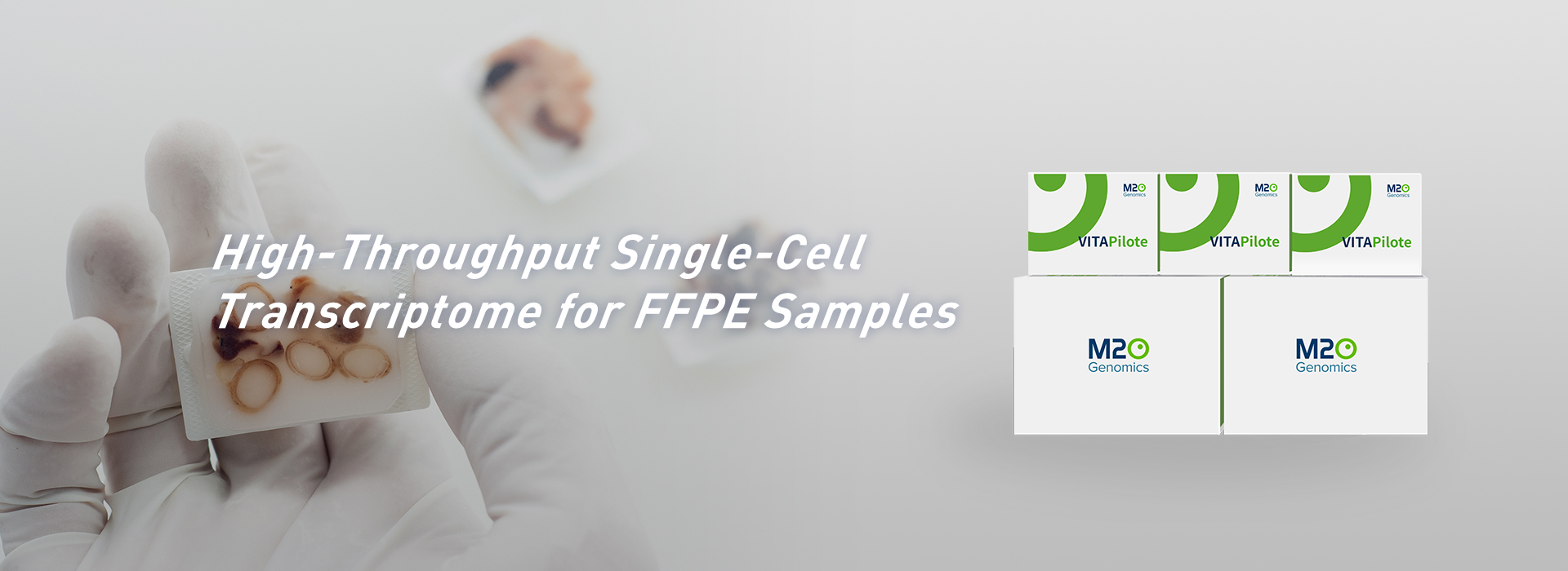 Single-Cell Transcriptome for FFPE Samples - M20 Genomics