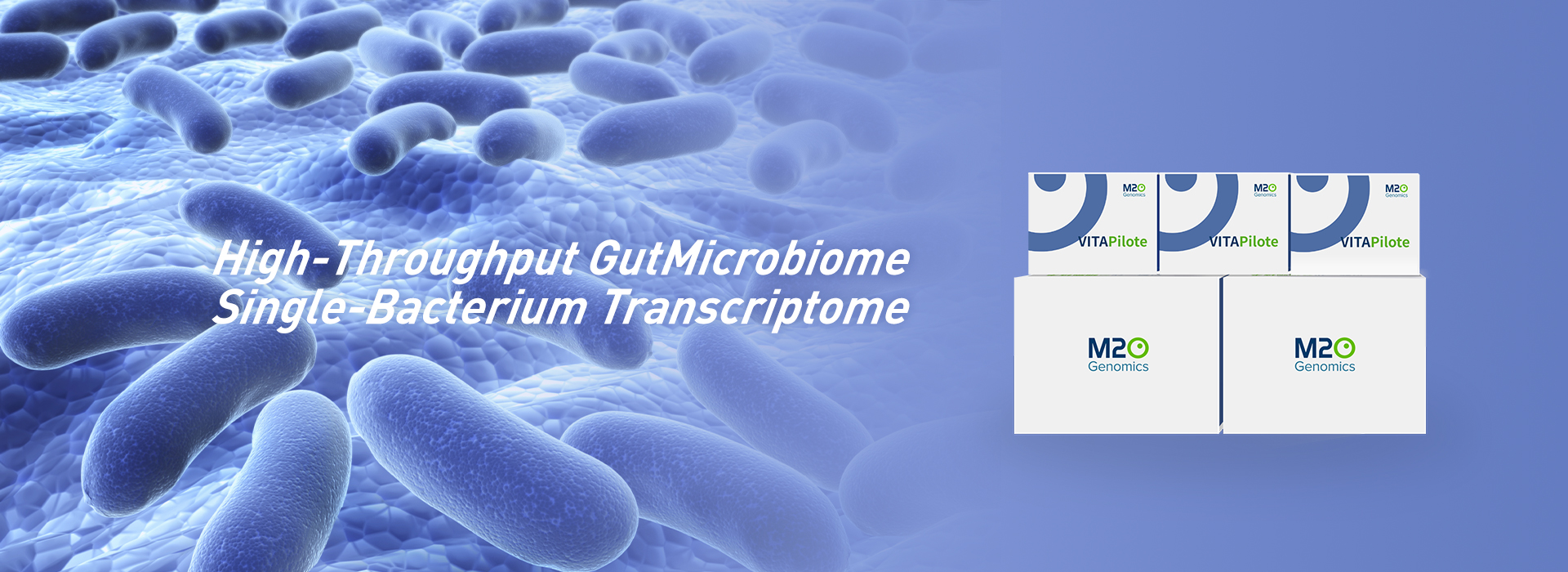 Single-Cell Transcriptome for Gut Microbiota Samples - M20 Genomics