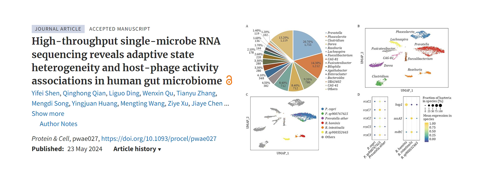 Single-Cell Transcriptome for Gut Microbiota Samples - M20 Genomics