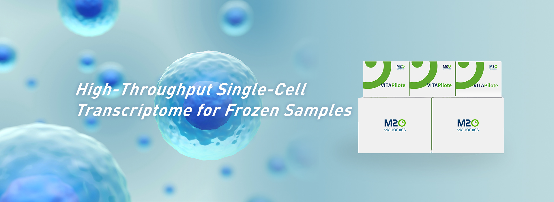 Single-Cell Transcriptome for Frozen Samples - M20 Genomics