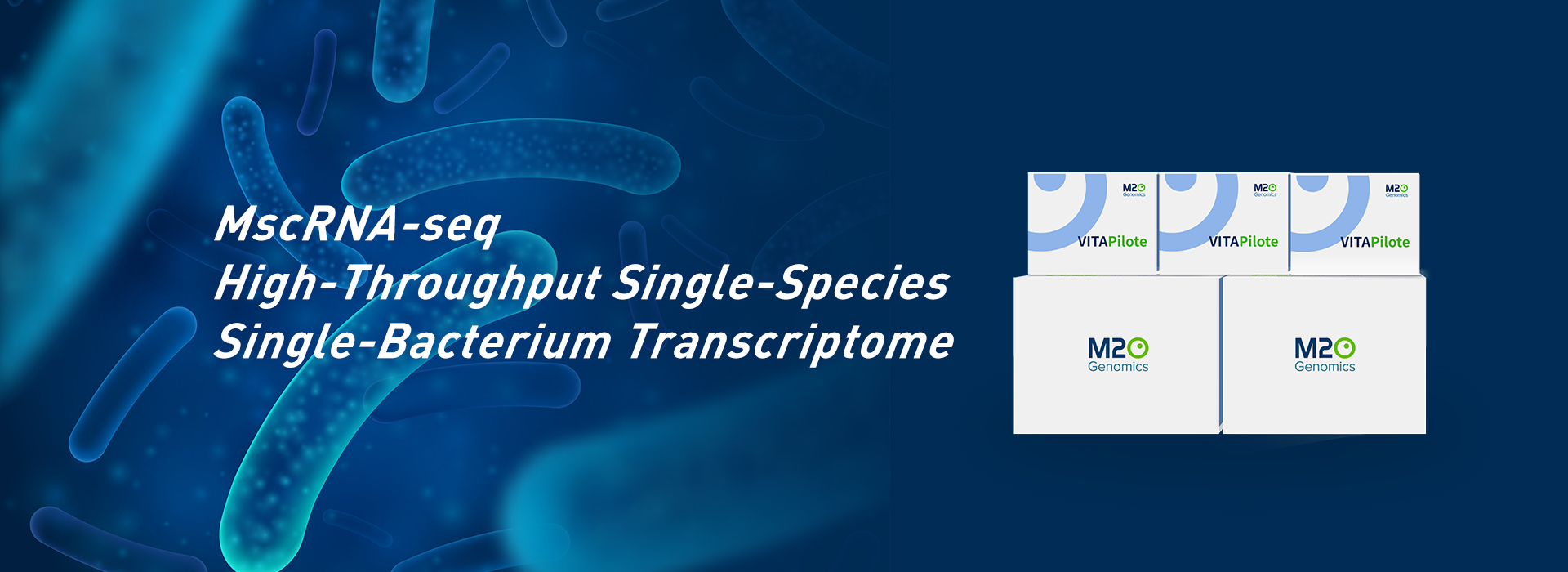 Single-Cell Transcriptome for Cultured Bacterial Samples - M20 Genomics