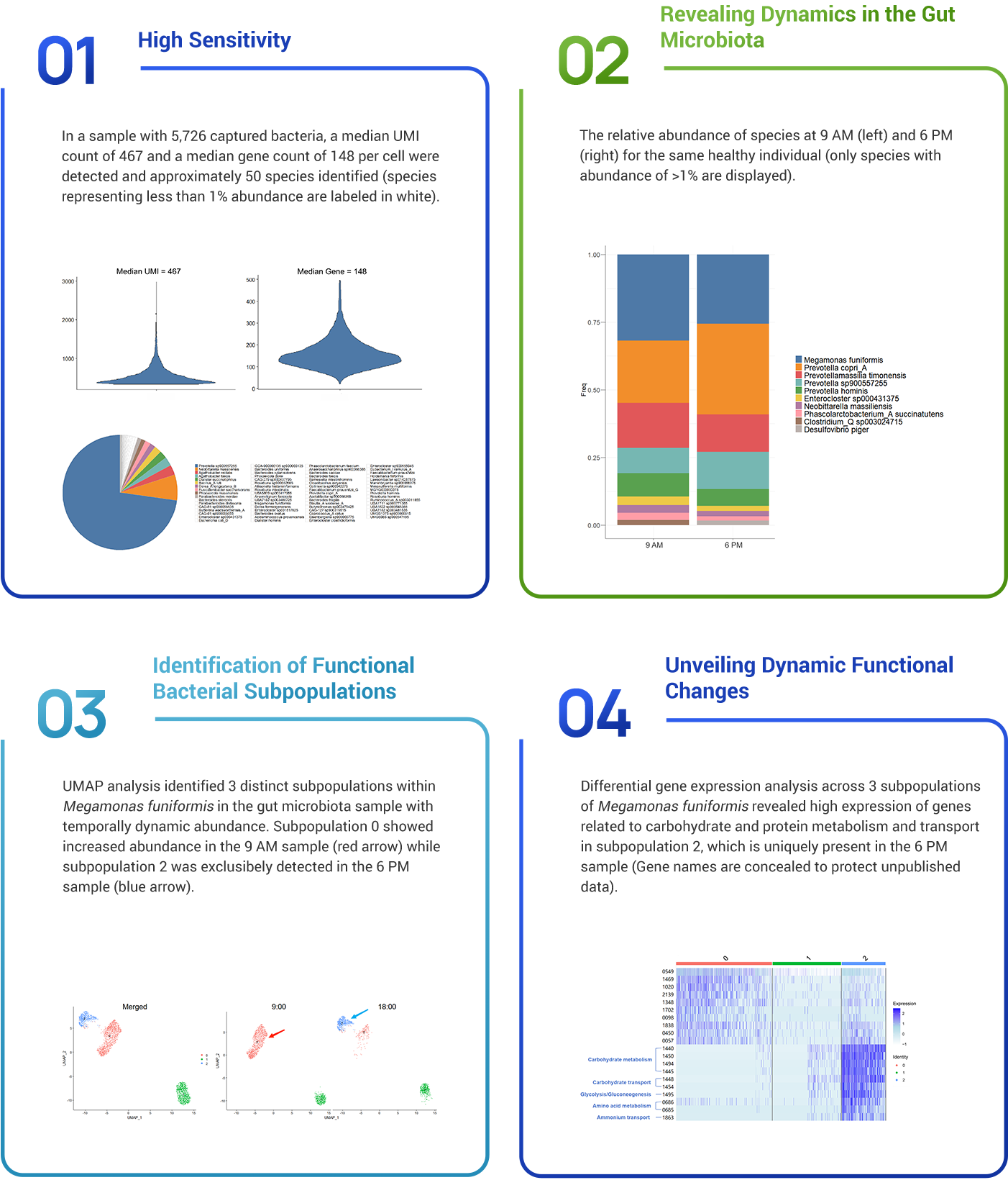 Single-Cell Transcriptome for Gut Microbiota Samples - M20 Genomics