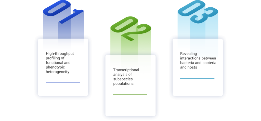 Single-Cell Transcriptome for Cultured Bacterial Samples - M20 Genomics