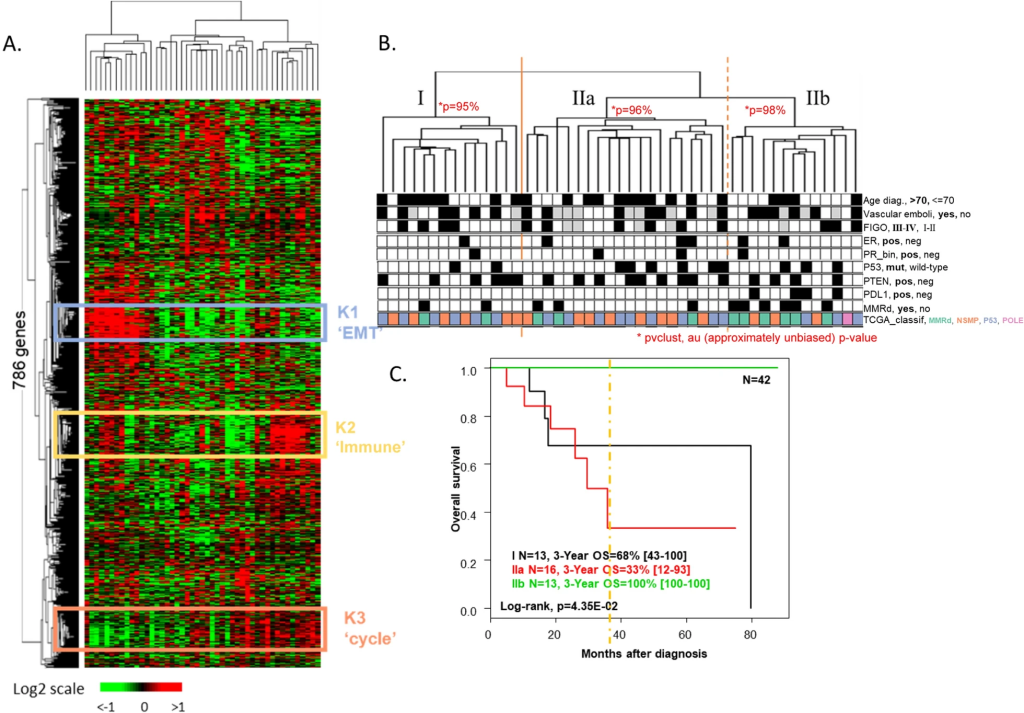 Unveiling Cellular Mysteries: The Power of Single-Cell Sequencing with ...