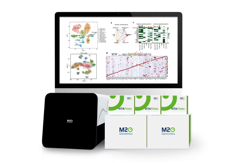 Unveiling Cellular Mysteries: The Power of Single-Cell Sequencing with ...