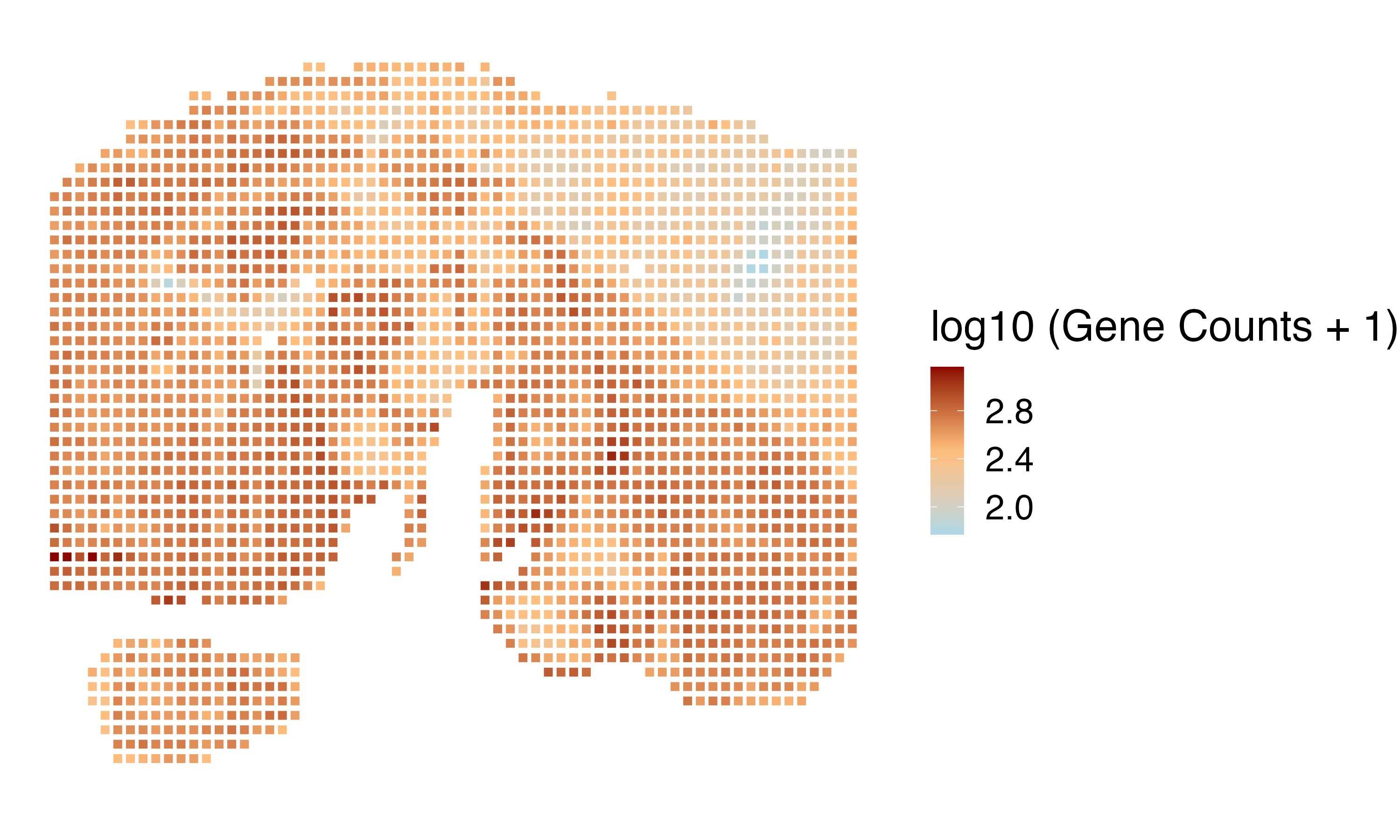 Groundbreaking Upgrade: M20 Spatial Redefines Full-Sample Spatial Transcriptomics - M20 Genomics