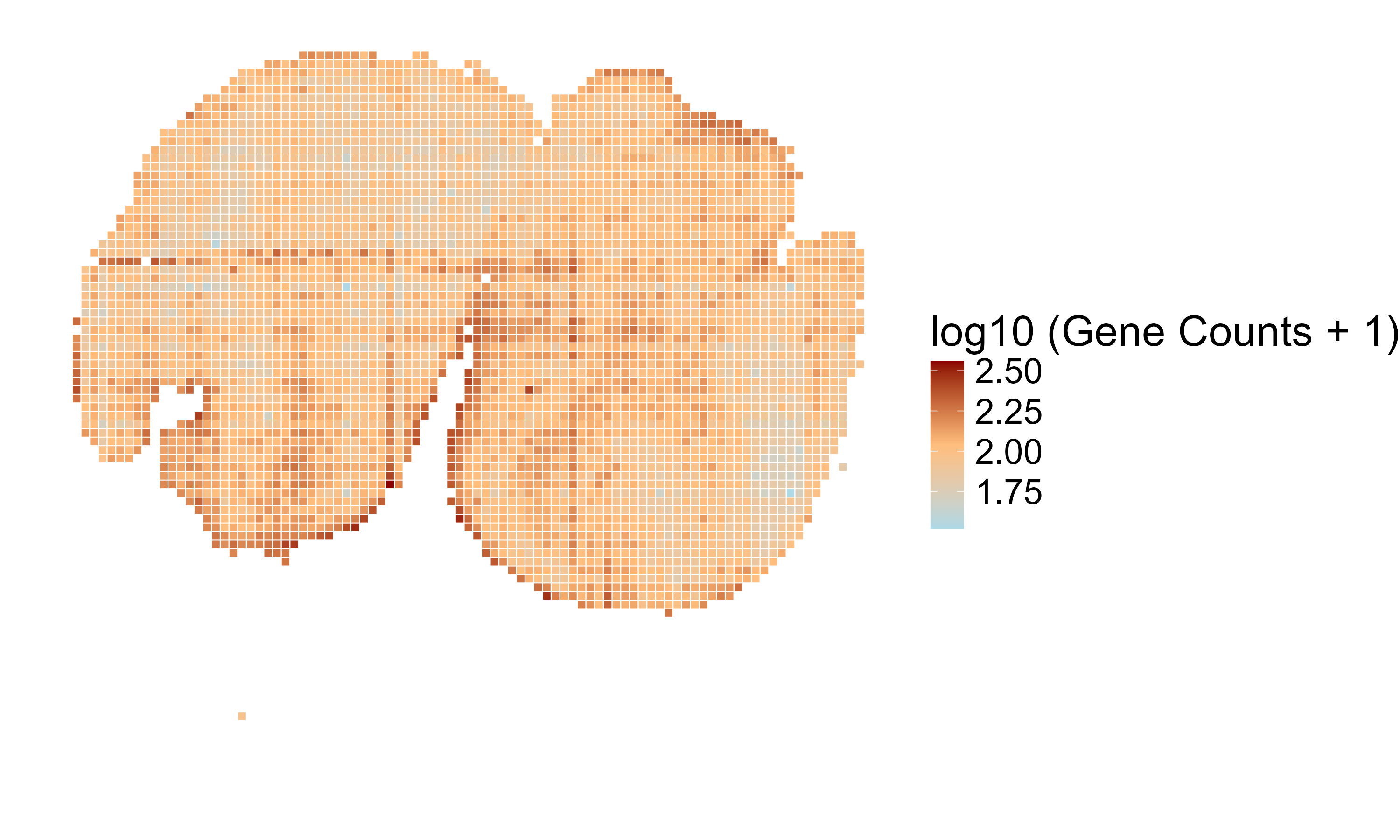 Groundbreaking Upgrade: M20 Spatial Redefines Full-Sample Spatial Transcriptomics - M20 Genomics