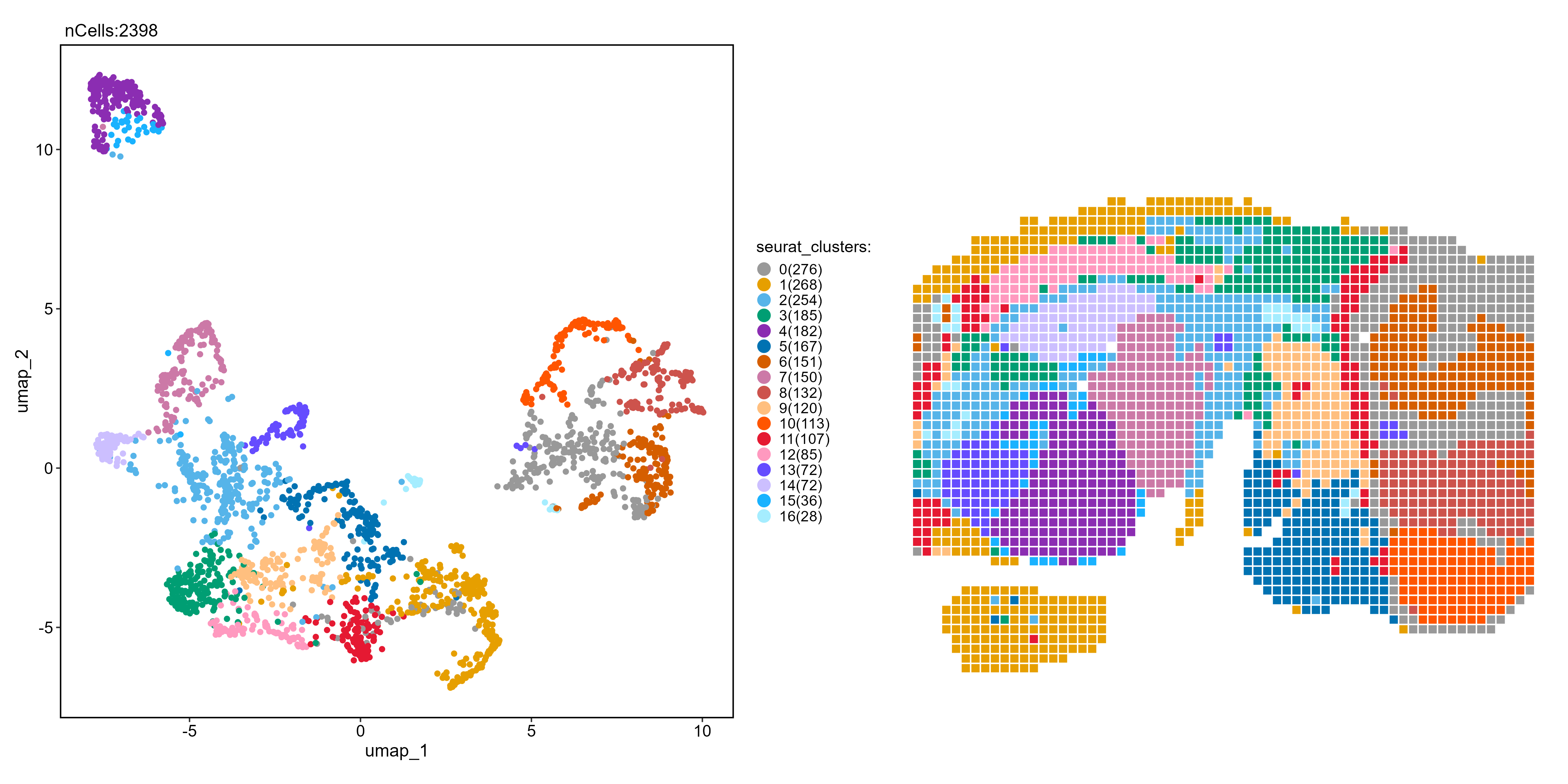 Groundbreaking Upgrade: M20 Spatial Redefines Full-Sample Spatial Transcriptomics - M20 Genomics