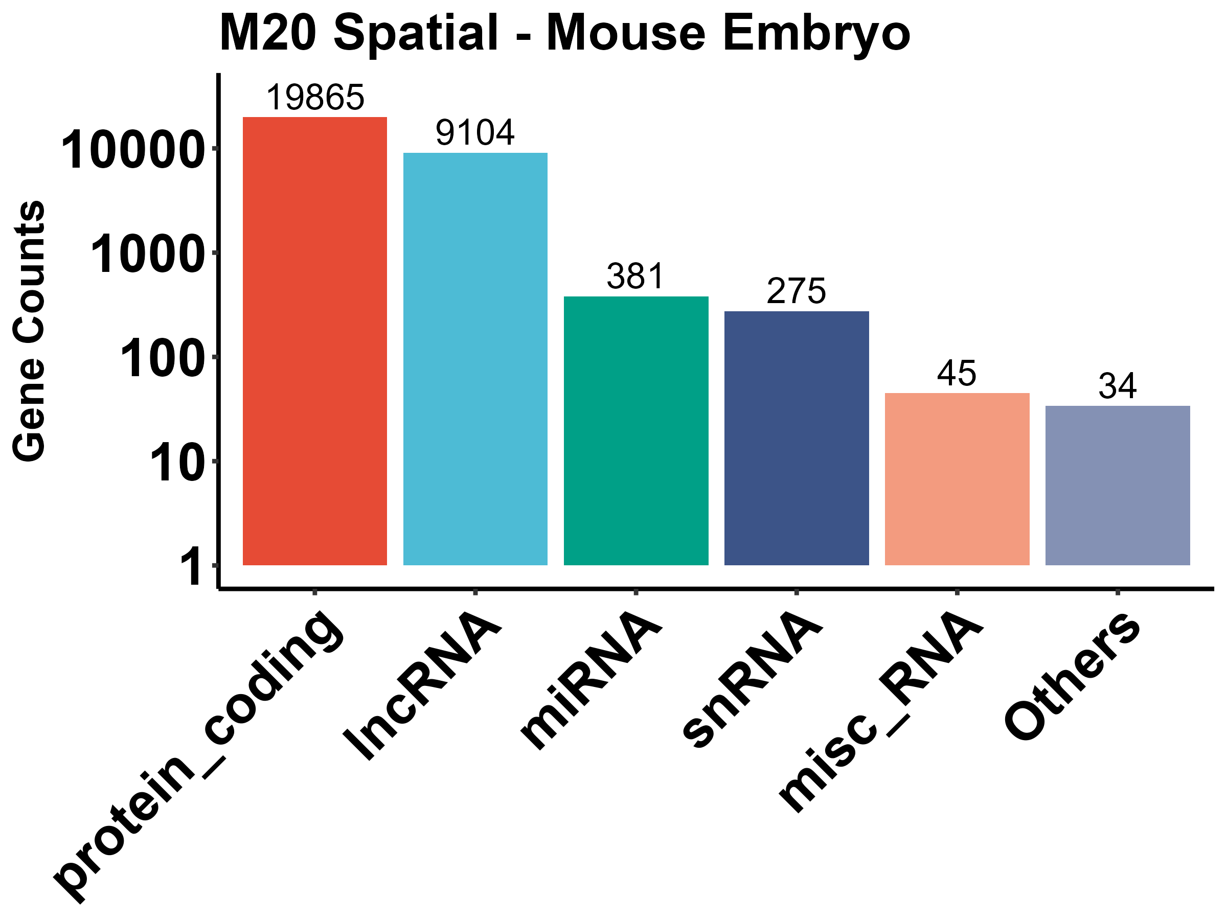 Groundbreaking Upgrade: M20 Spatial Redefines Full-Sample Spatial Transcriptomics - M20 Genomics