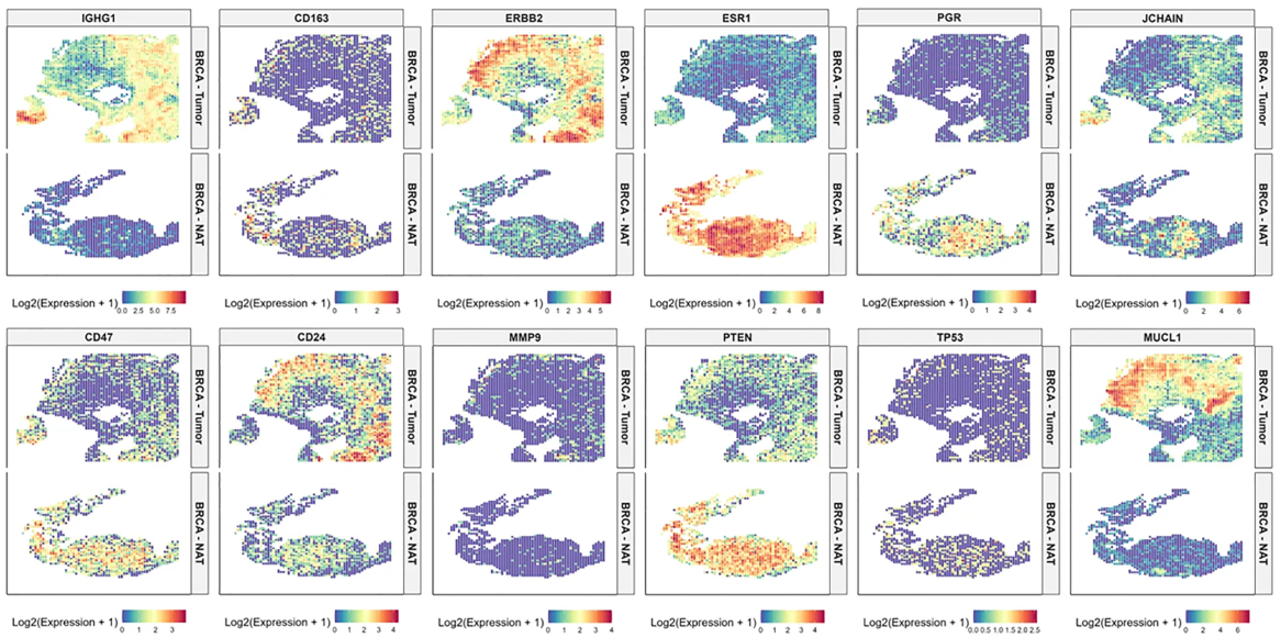 M20 Spatial - M20 Genomics