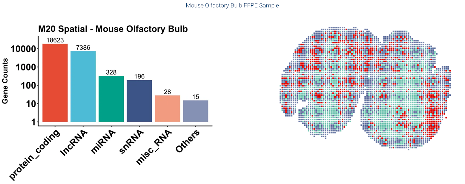 M20 Spatial - M20 Genomics