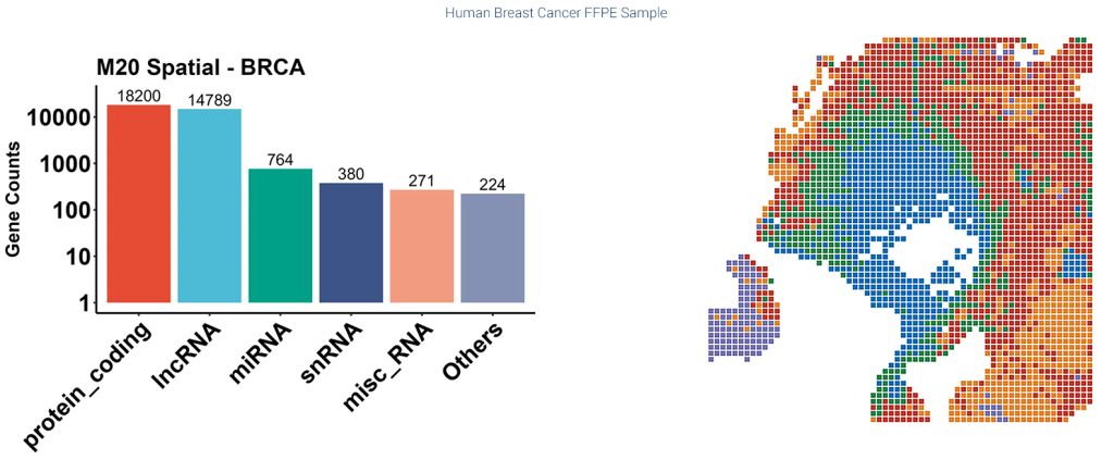 M20 Spatial - M20 Genomics