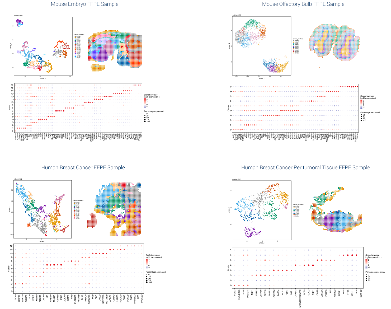 M20 Spatial - M20 Genomics