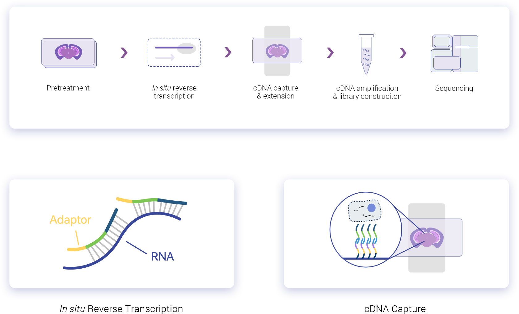 M20 Spatial - M20 Genomics