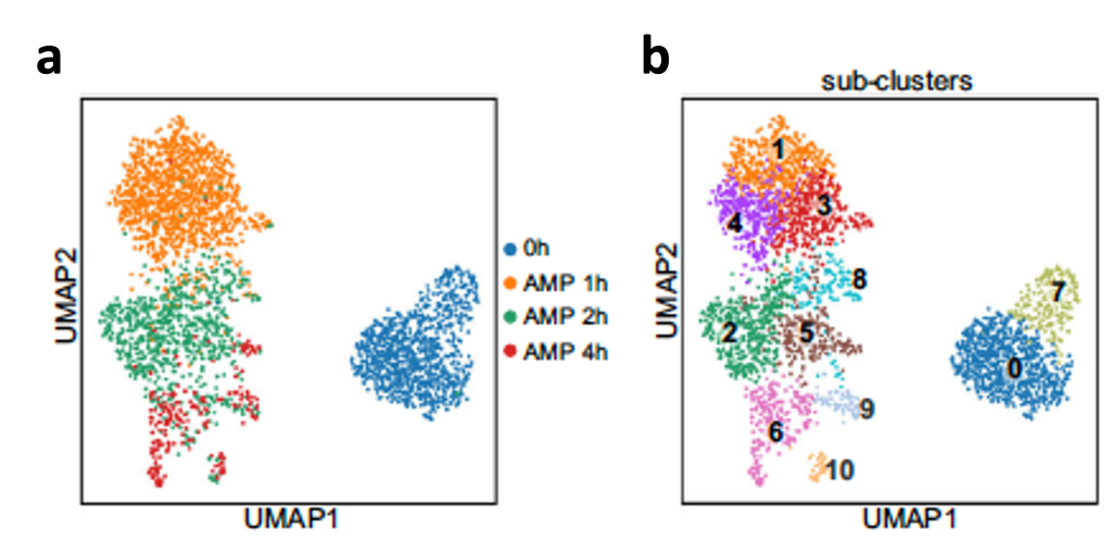 Science Highlights Microbial Single-Cell Transcriptomics: Unlocking New ...